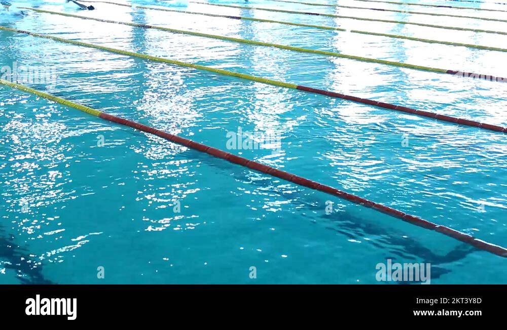 Swim team race pool Stock Videos & Footage - HD and 4K Video Clips - Alamy
