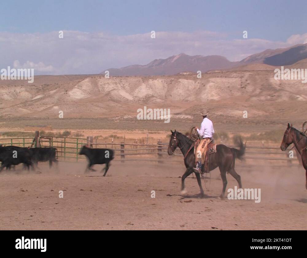 Working ranch cowboys Stock Videos & Footage - HD and 4K Video Clips ...