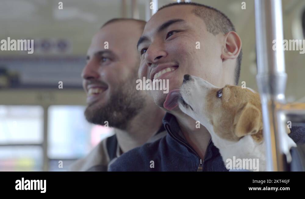Gay Couple Ride Street Car With Dog, Man Gets Kisses From His Dog And ...