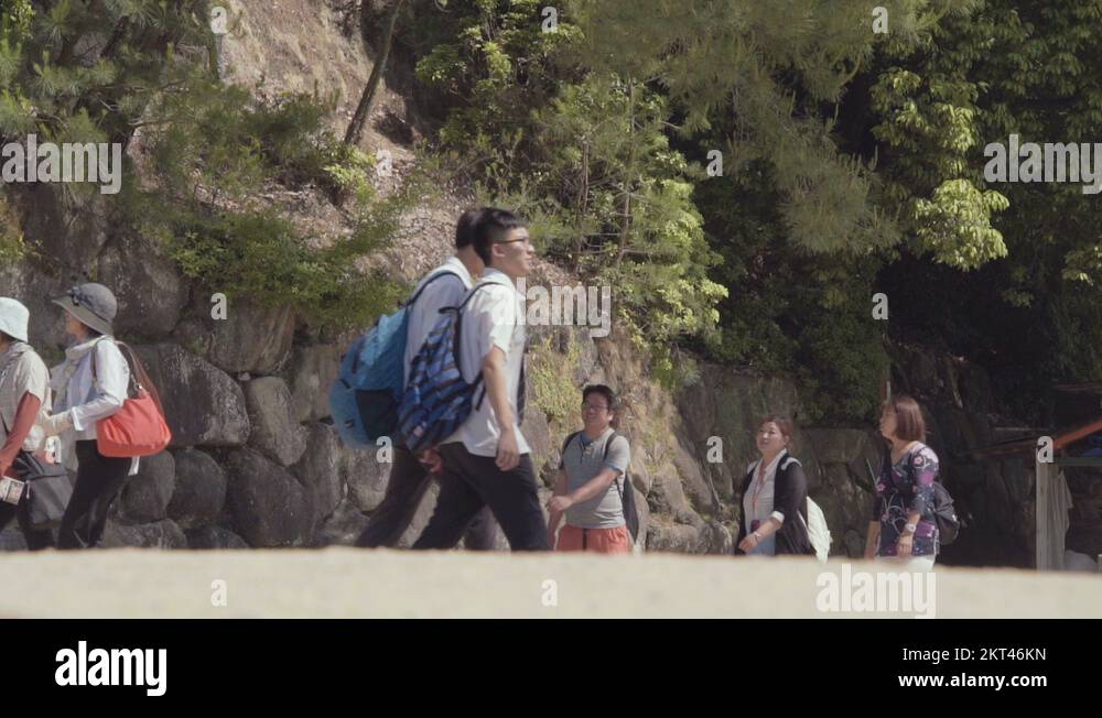 Visit miyajima Stock Videos & Footage - HD and 4K Video Clips - Alamy