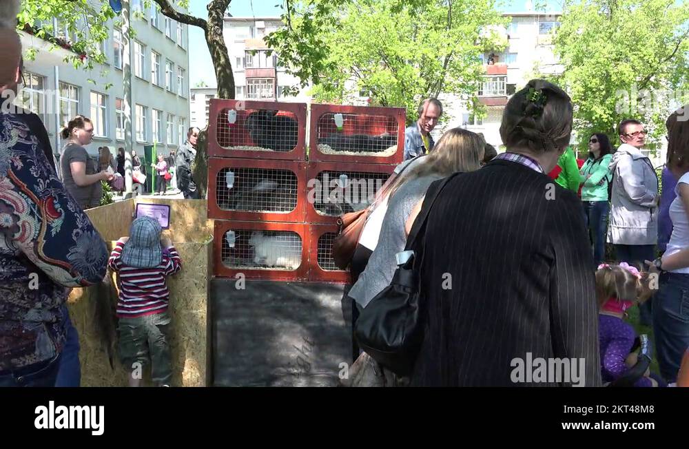 Kids in cages Stock Videos & Footage - HD and 4K Video Clips - Alamy