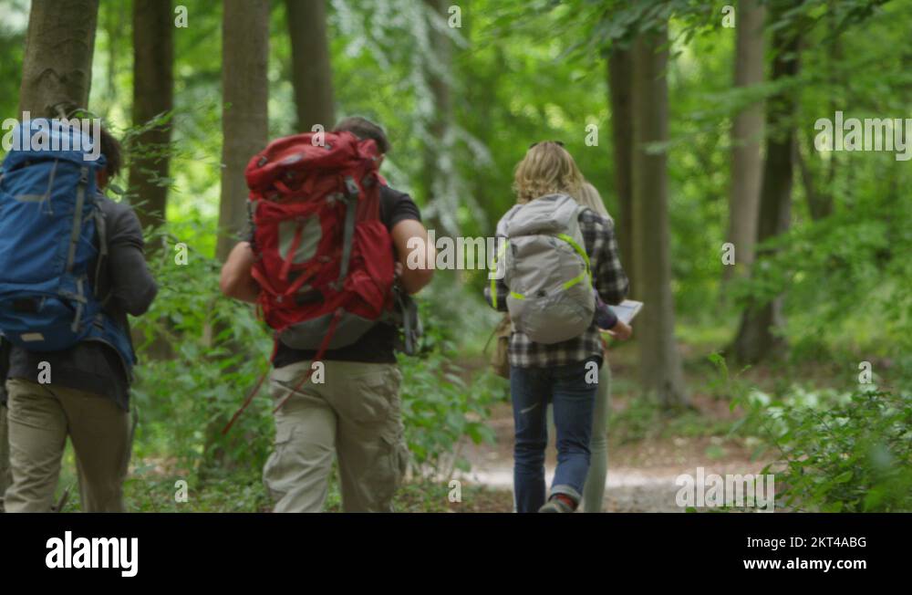 Camping exploring hike hiking adventure fun trail Stock Videos ...