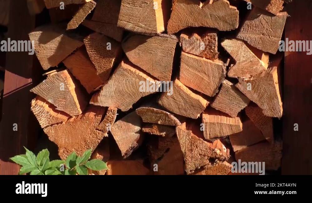 Chopped firewood logs Stock Videos & Footage - HD and 4K Video Clips ...