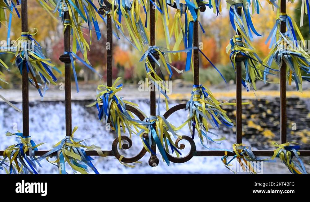 Blue and yellow ribbons in tree Stock Videos & Footage - HD and 4K ...