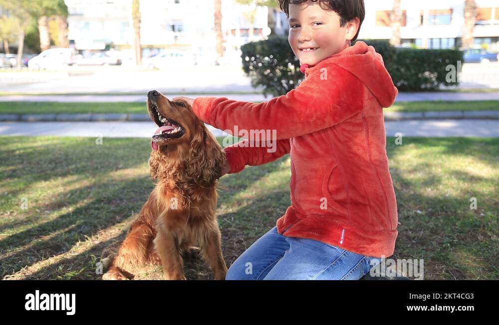 Young boy and animal friends young boy and animal friends Stock Videos ...