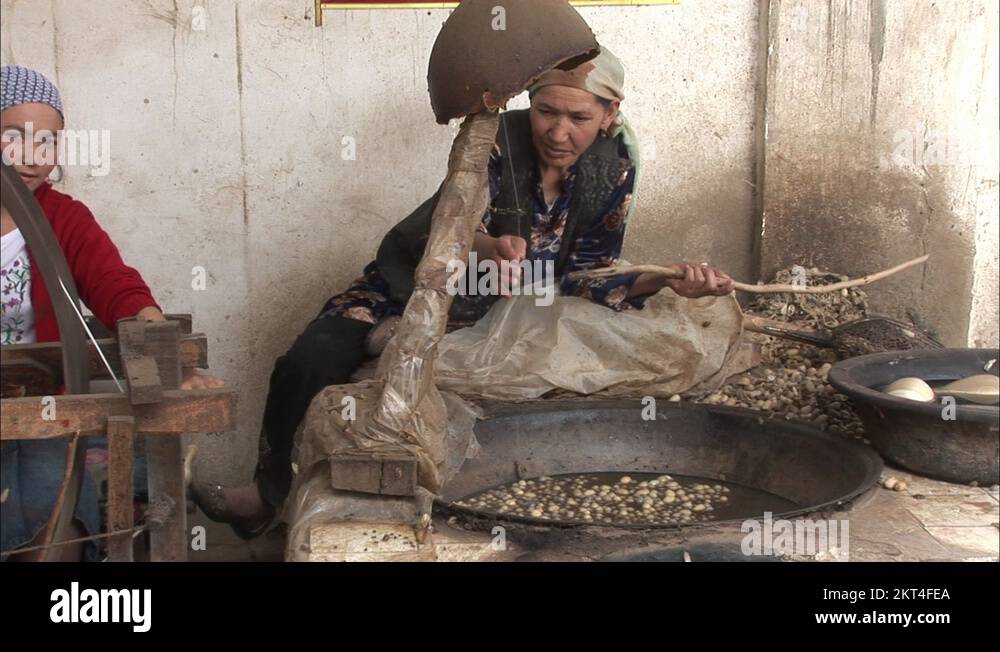 Silkworm spinning silk Stock Videos & Footage - HD and 4K Video Clips ...