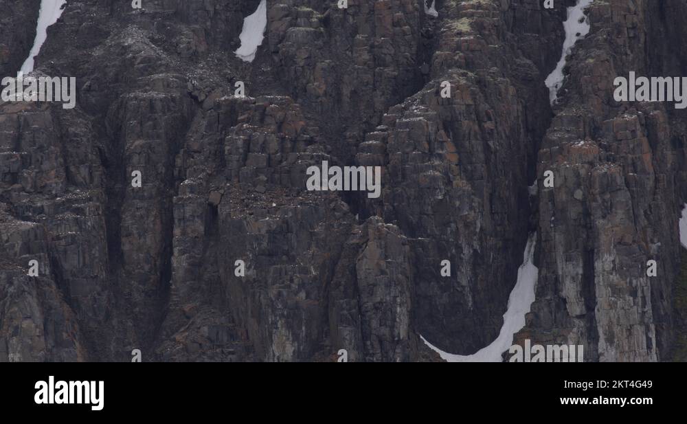 Ledges Covered in Birds Nests on an Arctic Cliff Stock Video Footage ...