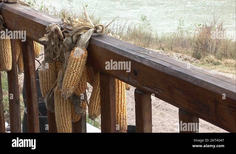 China grain corn Stock Videos & Footage - HD and 4K Video Clips - Alamy