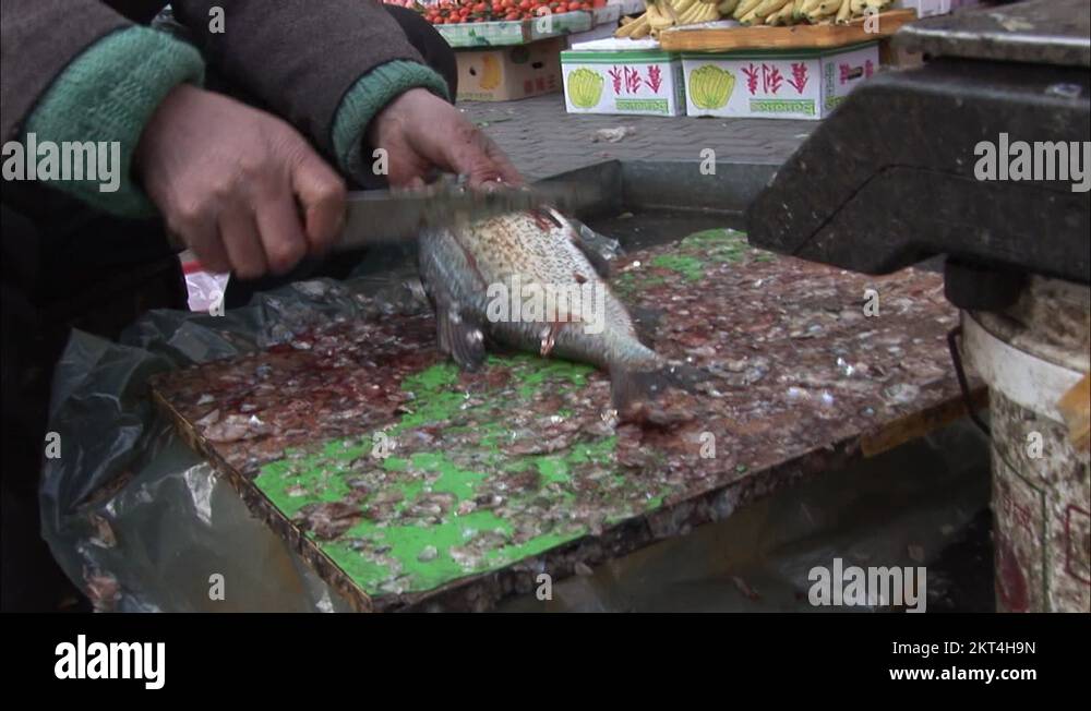Fishmonger china Stock Videos & Footage - HD and 4K Video Clips - Alamy