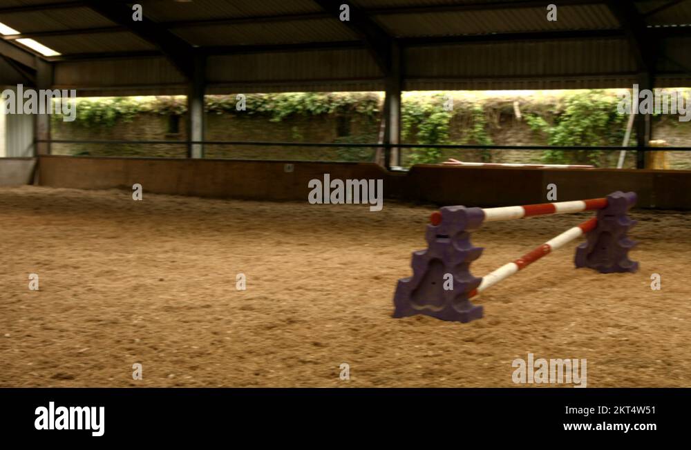 Horse riding paddock Stock Videos & Footage - HD and 4K Video Clips - Alamy