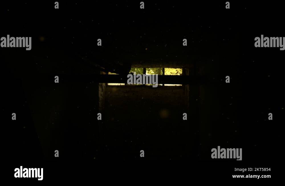 Cellar building Stock Videos & Footage - HD and 4K Video Clips - Alamy