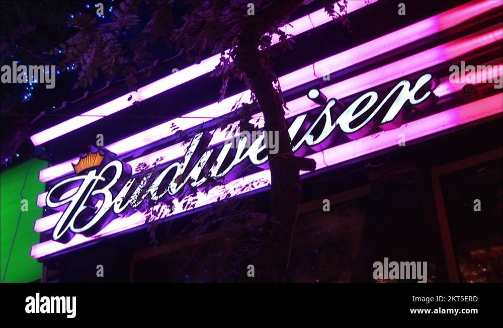 Budweiser neon light Stock Videos & Footage - HD and 4K Video Clips - Alamy