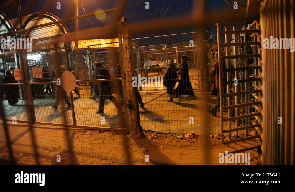 Cage structure Stock Videos & Footage - HD and 4K Video Clips - Alamy