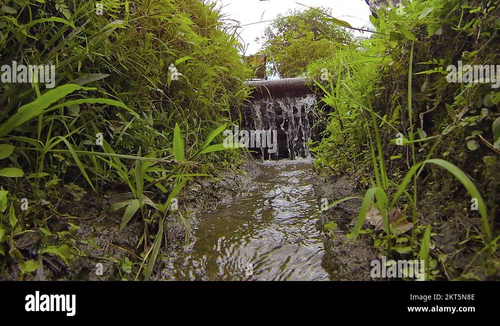Continuous irrigation Stock Videos & Footage - HD and 4K Video Clips ...