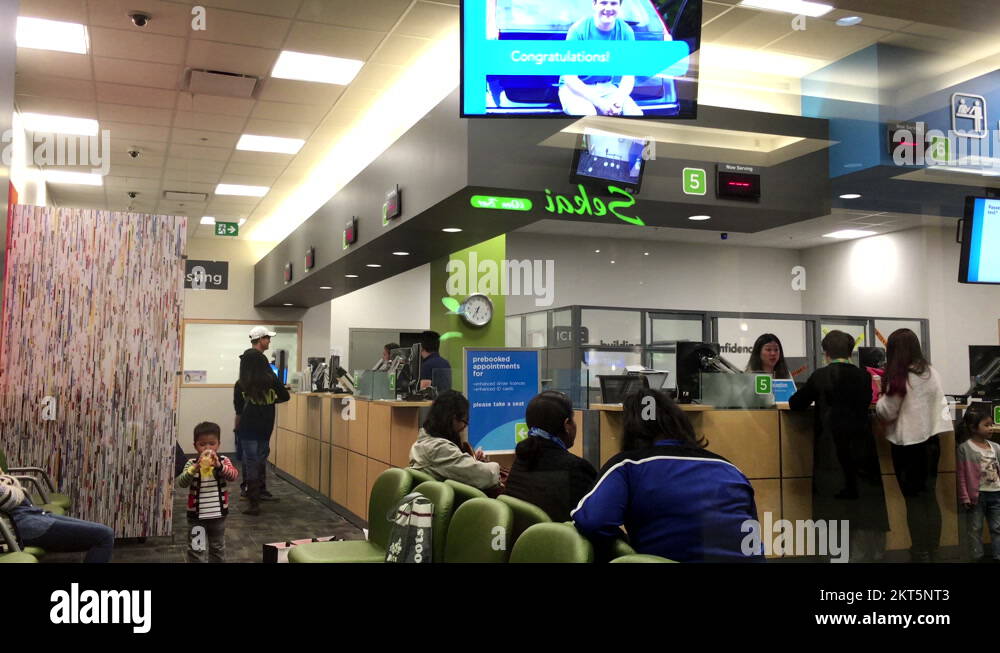 Commercial driver license Stock Videos & Footage - HD and 4K Video ...