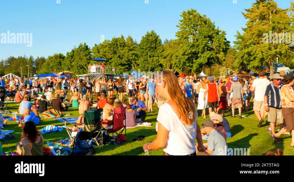 4K Crowd of People Move Through Audience at Open Air Live Music ...