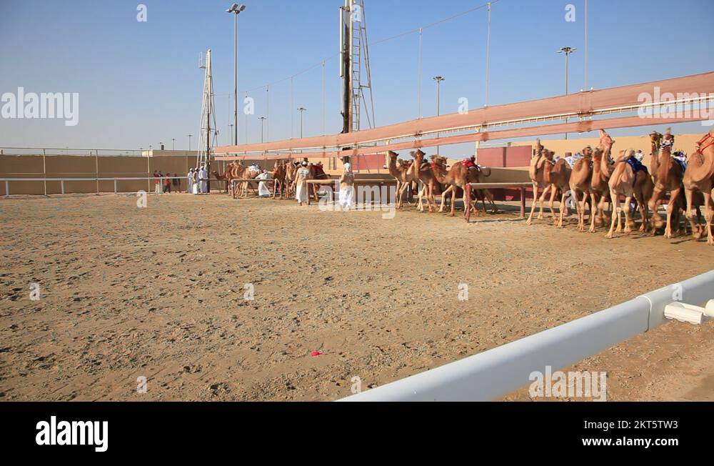 Traditional camel race in Stock Videos & Footage - HD and 4K Video ...