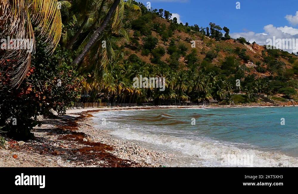 Haiti beach not sunset Stock Videos & Footage - HD and 4K Video Clips ...