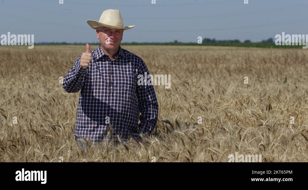 Homestead Confident Business Farmer Man Thumbs Up Gesture Great Wheat ...