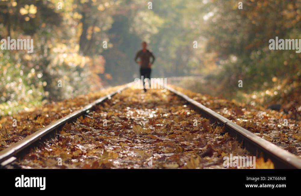 Leaf covered railway tracks Stock Videos & Footage - HD and 4K Video ...