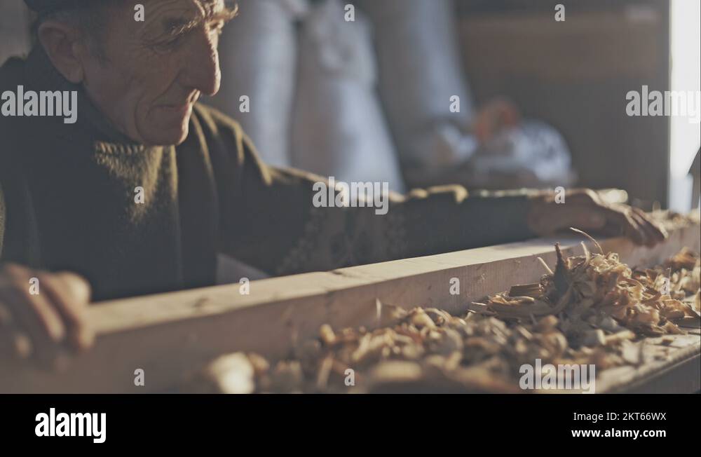 The hard manual labor Old farmer carpenter in the workshop day ...