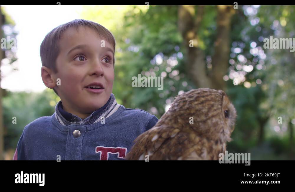 Handling animals Stock Videos & Footage - HD and 4K Video Clips - Alamy