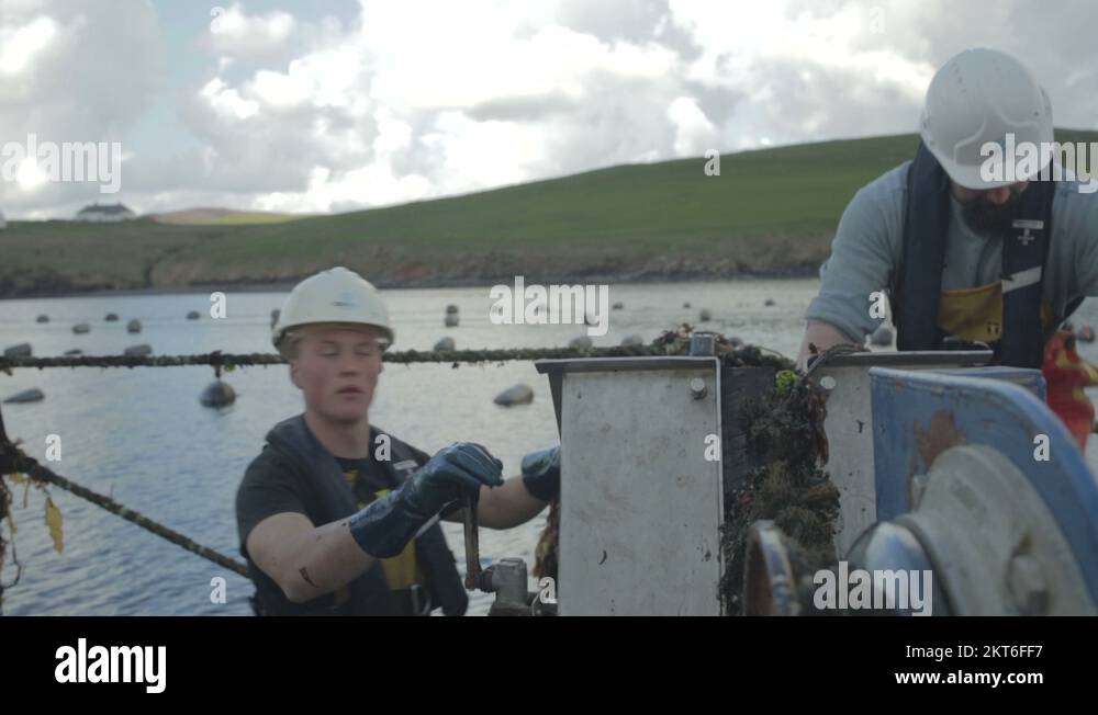 Mussel fishing and scotland Stock Videos & Footage - HD and 4K Video ...