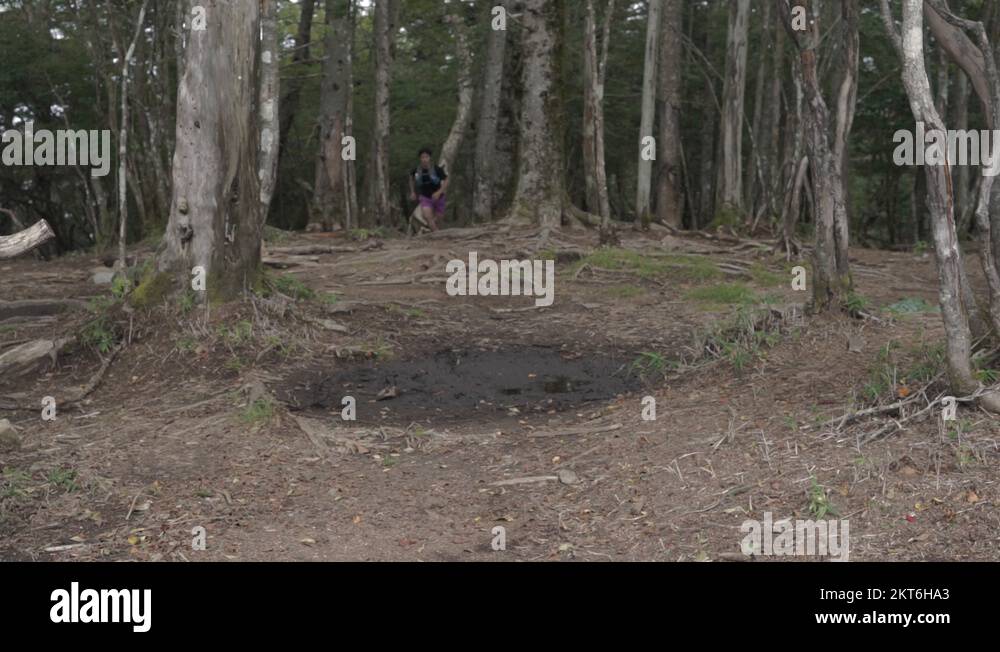 Slow motion footage of trail runner at Mount Daibosatsu in summer ...