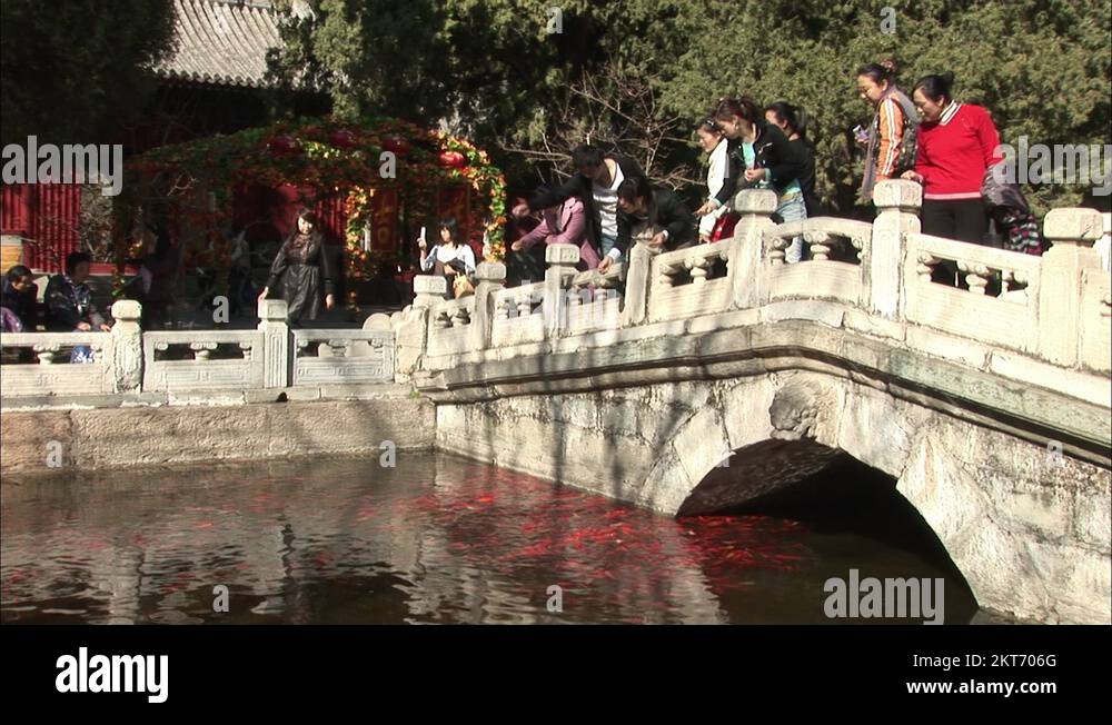 Chinese stone bridge garden Stock Videos & Footage - HD and 4K Video ...