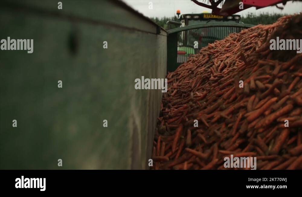 Farm lorry Stock Videos & Footage - HD and 4K Video Clips - Alamy