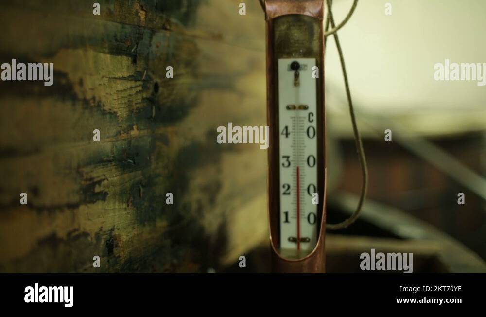 Whisky worker testing fermentation temperature with sample Stock Video ...