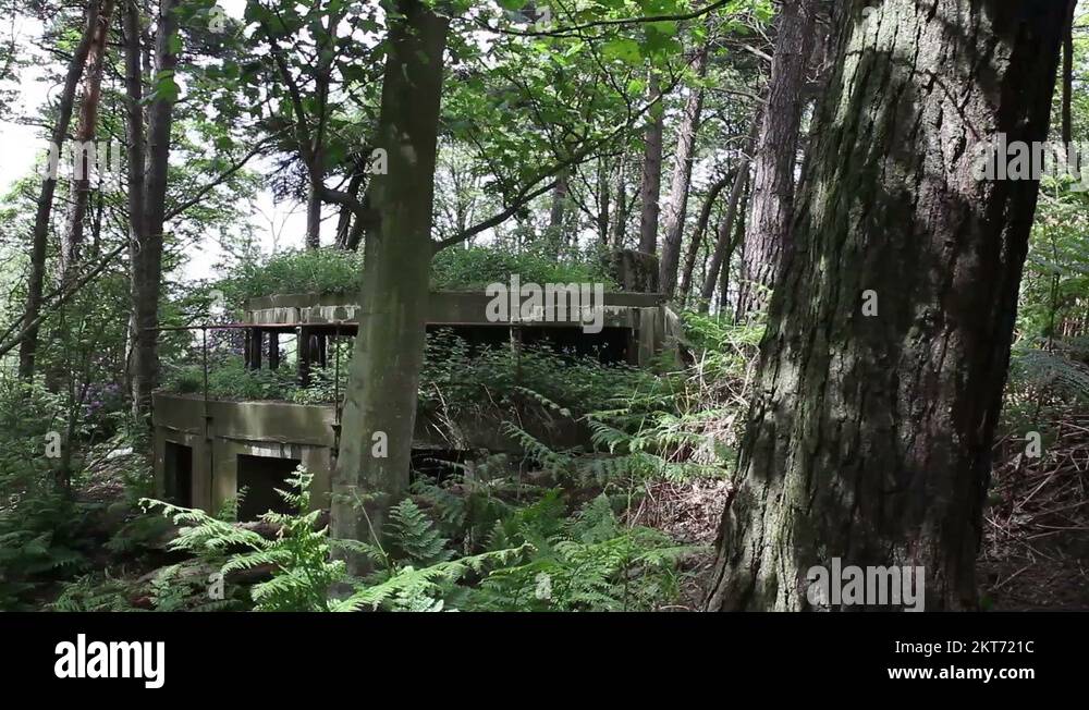 American soldiers world war 1 Stock Videos & Footage - HD and 4K Video Clips - Alamy