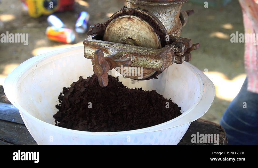 Cocoa culture Stock Videos & Footage - HD and 4K Video Clips - Alamy