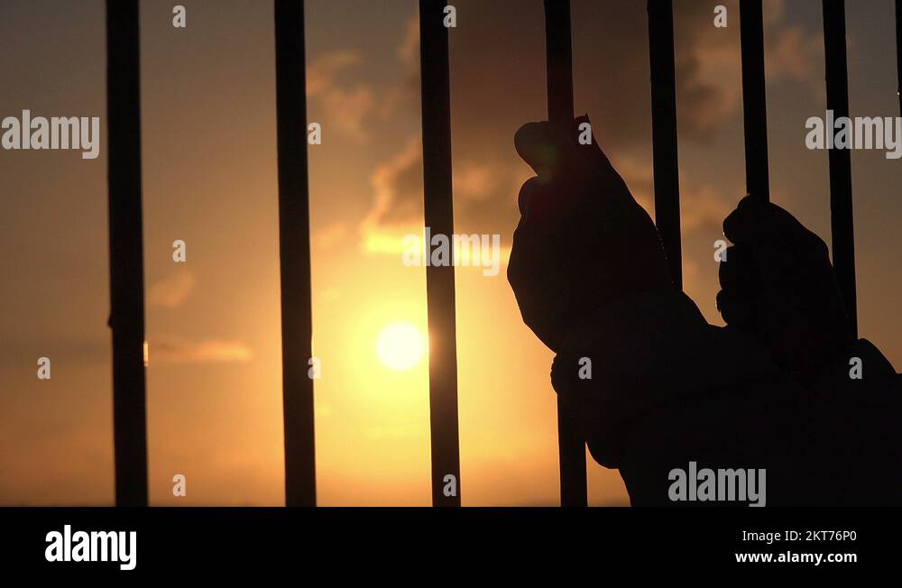 Prisoner cage Stock Videos & Footage - HD and 4K Video Clips - Alamy