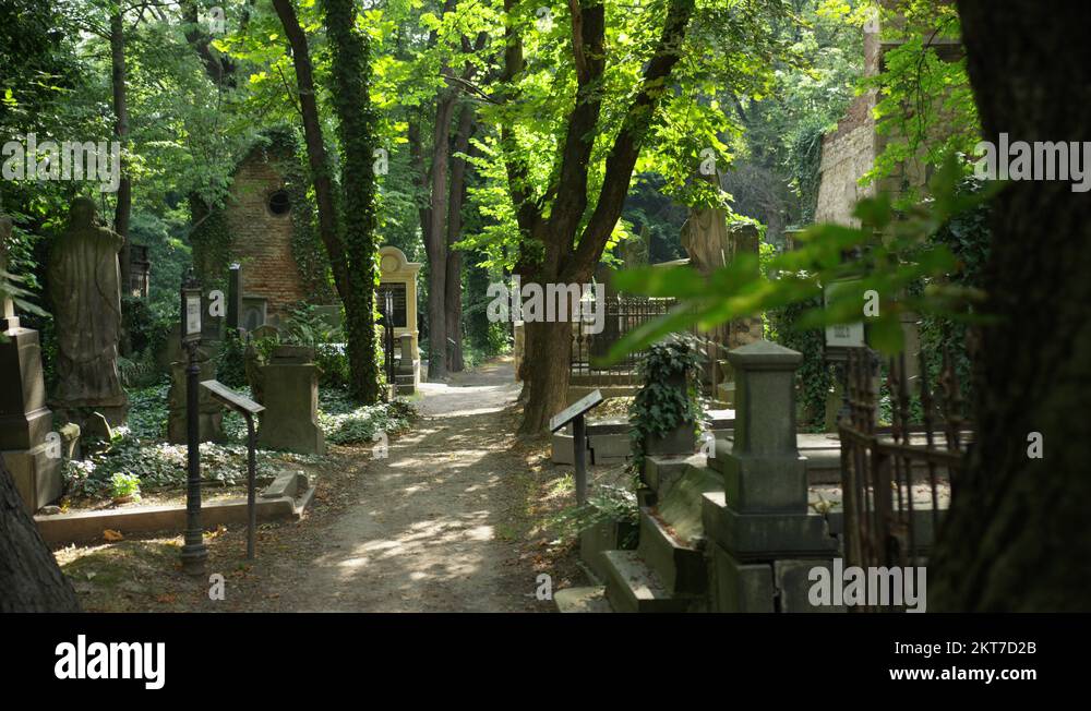 Burial lane Stock Videos & Footage - HD and 4K Video Clips - Alamy