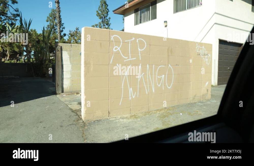 Gang graffiti Stock Videos & Footage - HD and 4K Video Clips - Alamy