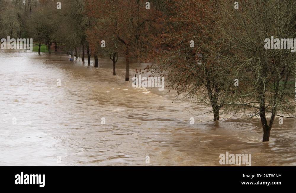 Flooding in a field Stock Videos & Footage - HD and 4K Video Clips - Alamy