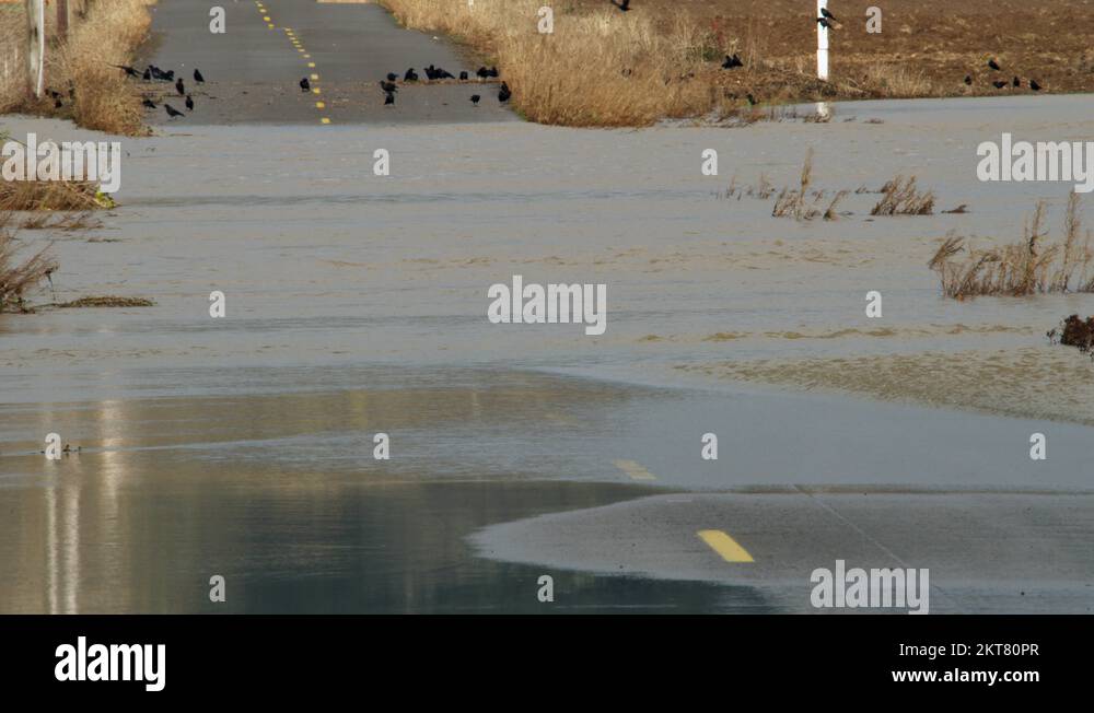 Floodwater over road Stock Videos & Footage - HD and 4K Video Clips - Alamy