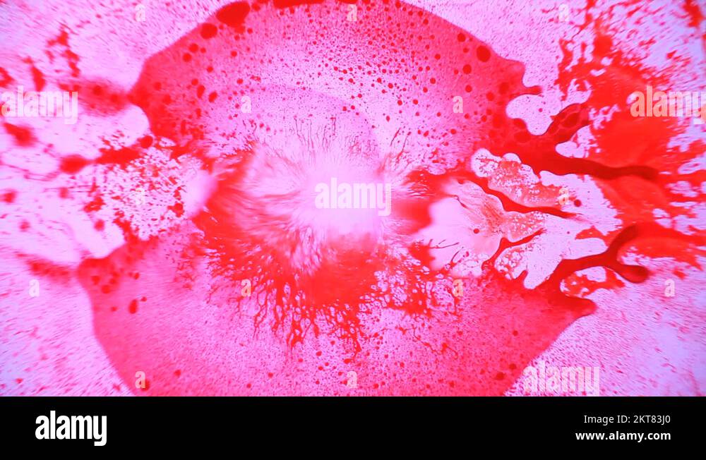 1390 Stock Videos & Footage - HD and 4K Video Clips - Alamy