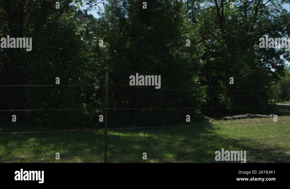 Left Side view of a Driving Plate: Car turns left out of a driveway ...