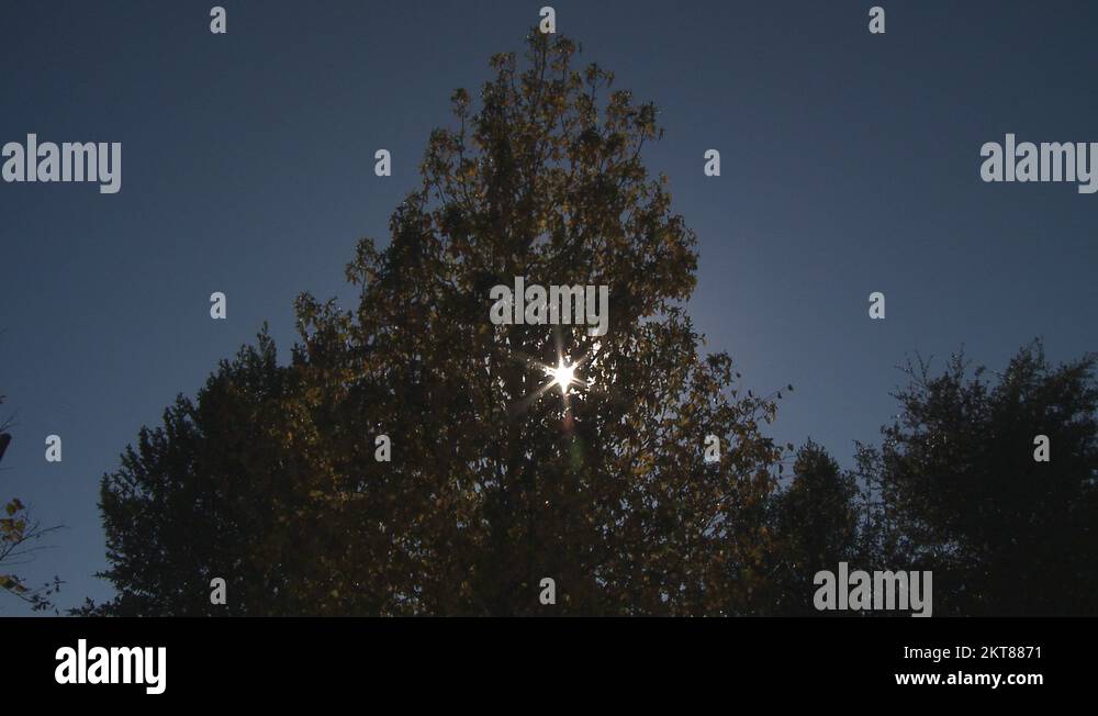 Sun backlighting Stock Videos & Footage - HD and 4K Video Clips - Alamy