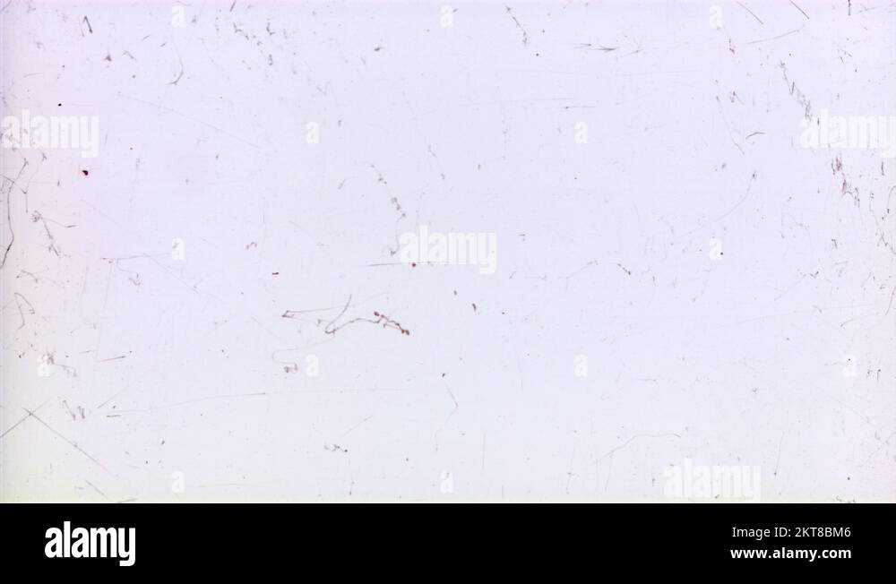 Damaged label Stock Videos & Footage - HD and 4K Video Clips - Alamy