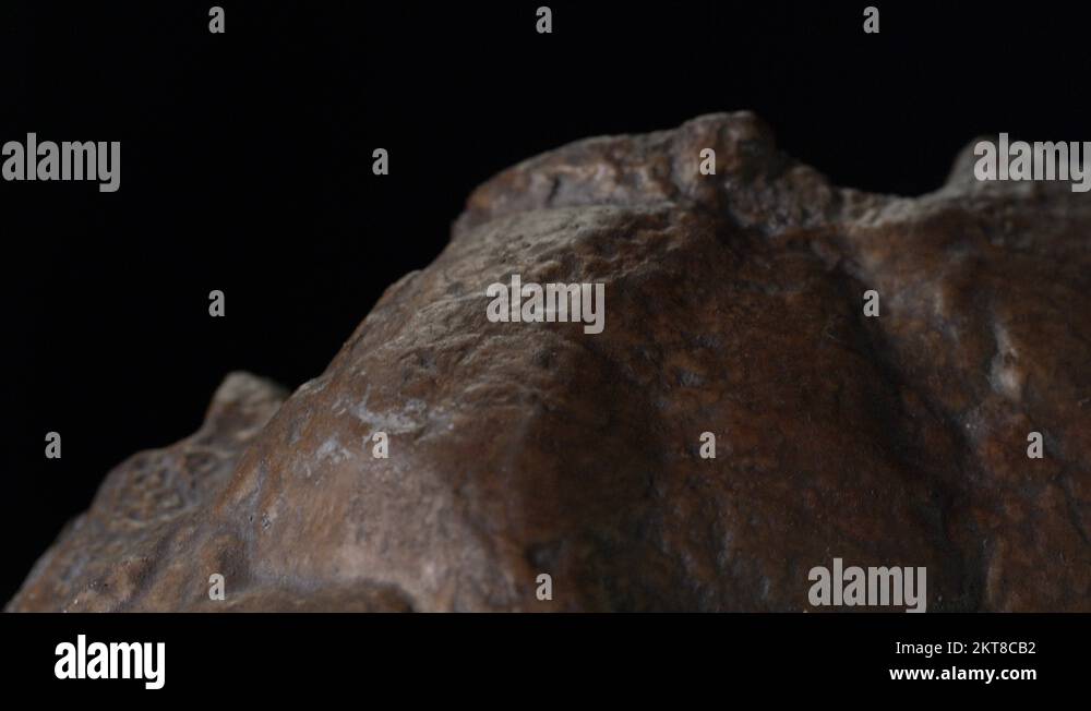 Caveman Skull - Australopithecus and Evolution Stock Video Footage - Alamy