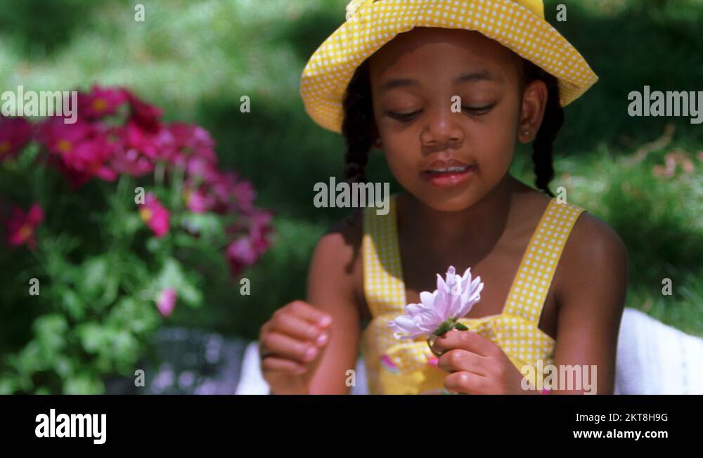 Daisy hat Stock Videos & Footage - HD and 4K Video Clips - Alamy