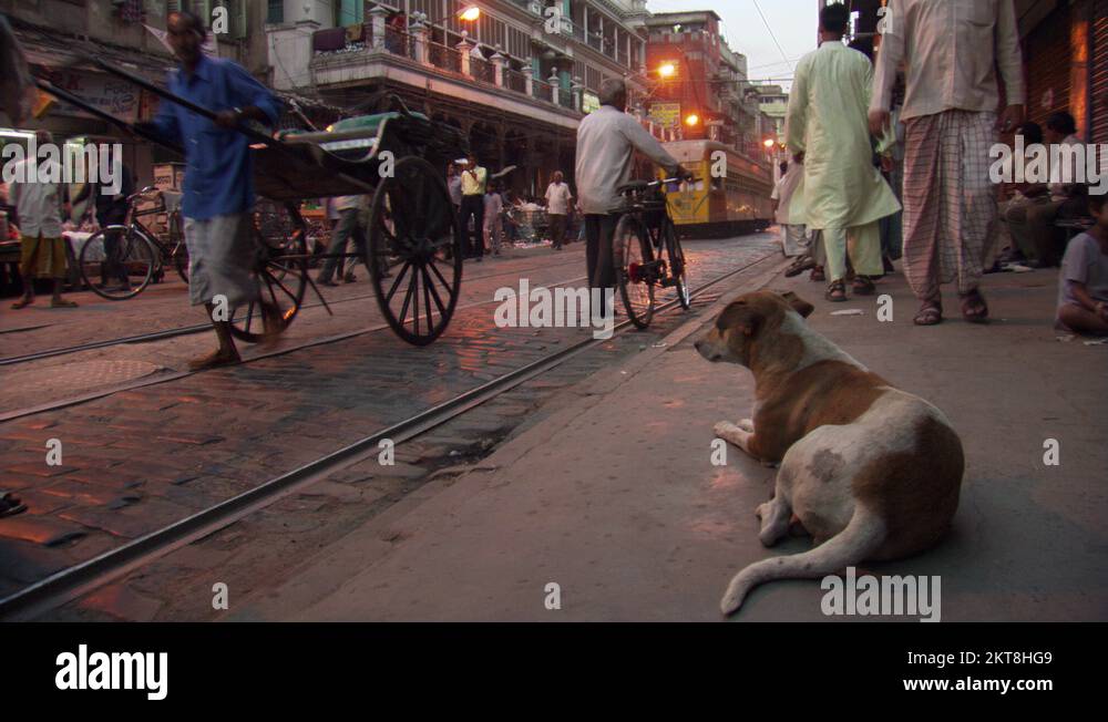 Calcutta street Stock Videos & Footage - HD and 4K Video Clips - Alamy
