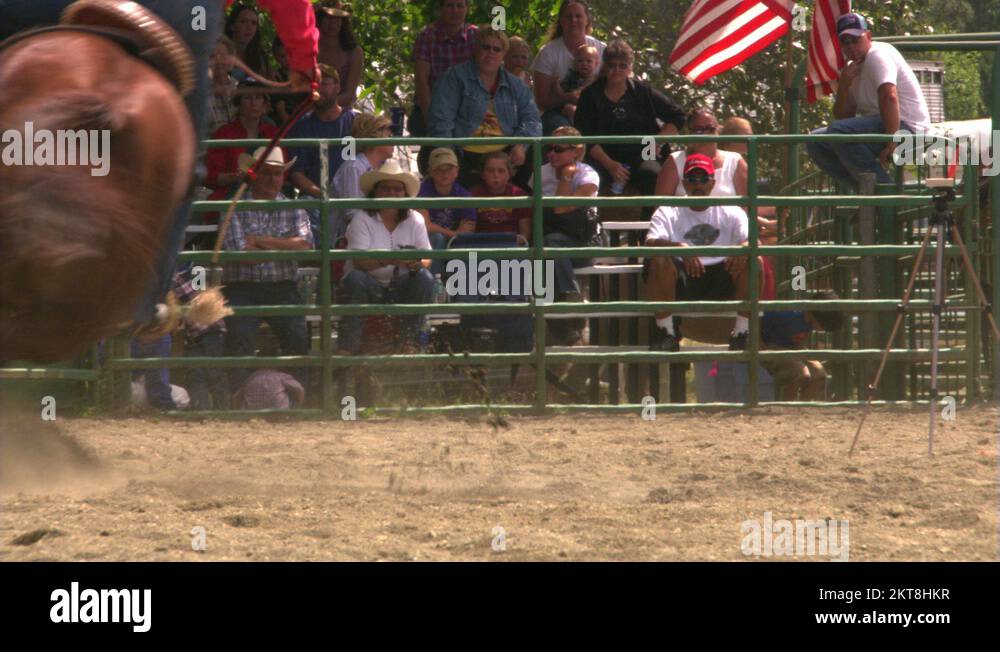 Barrel racing horse Stock Videos & Footage - HD and 4K Video Clips - Alamy