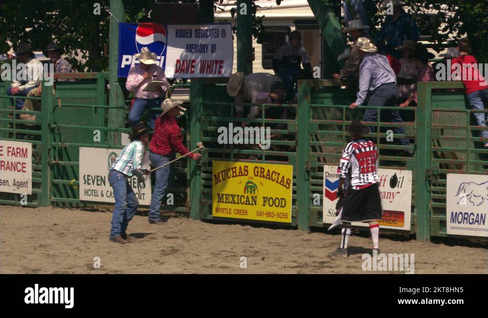 Rodeo cowboy successfully riding a bucking bull, arena crew scrambling ...