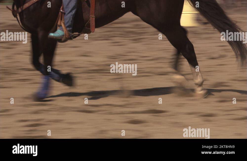 Cantering horse Stock Videos & Footage - HD and 4K Video Clips - Alamy