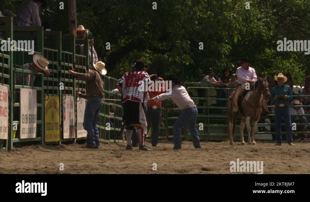 Rodeo chute Stock Videos & Footage - HD and 4K Video Clips - Alamy