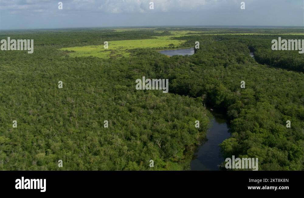 Florida marsh green landscape Stock Videos & Footage - HD and 4K Video ...